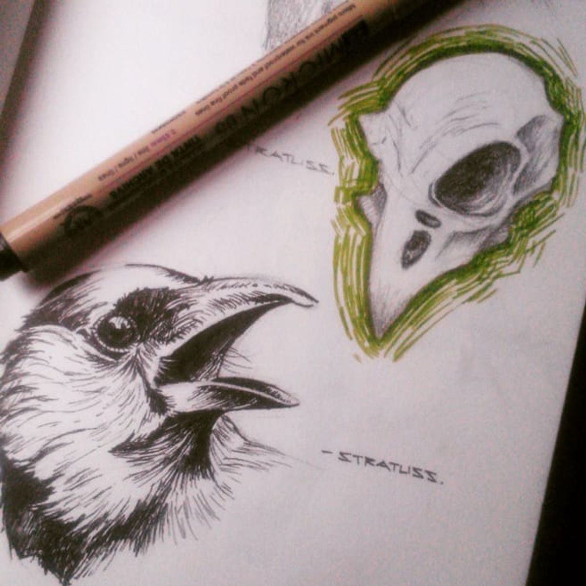 Bird Skull Art