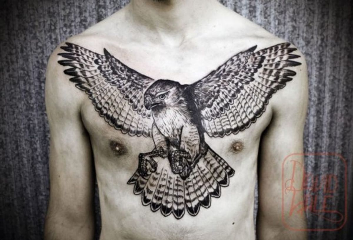 Egyptian Hawk Tattoo