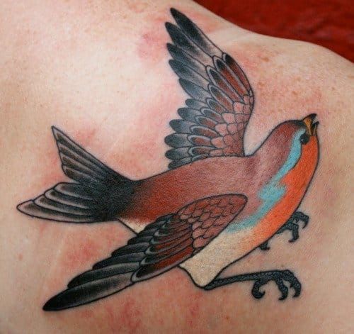 Traditional Robin Tattoo