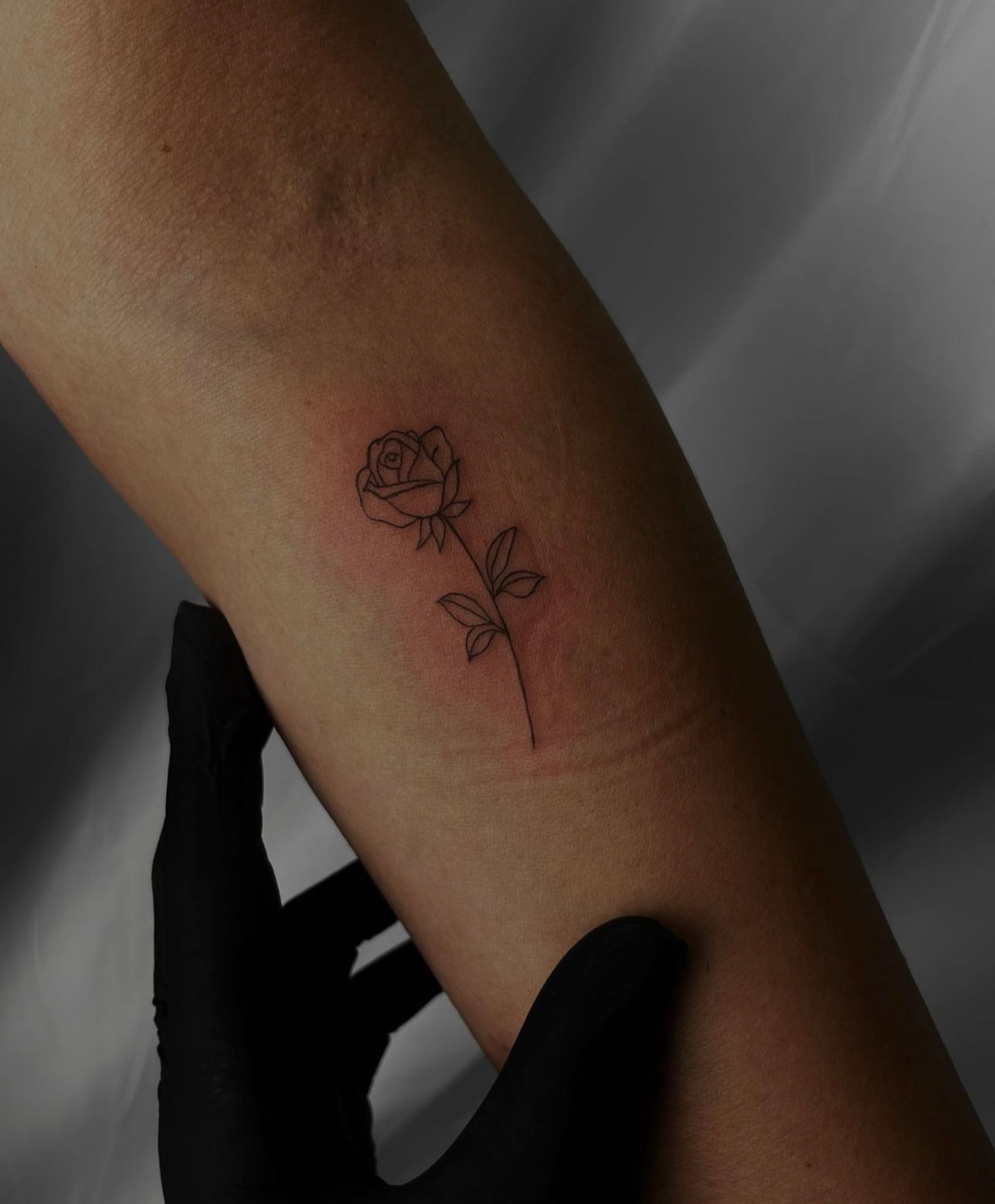 Delicate Rose by Ruby Rowland • Tattoodo