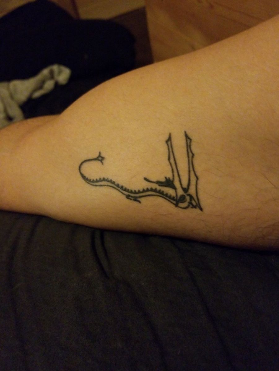 Tattoo uploaded by Austin Ashcraft • Smaug tattoo gotten somewhere in ...