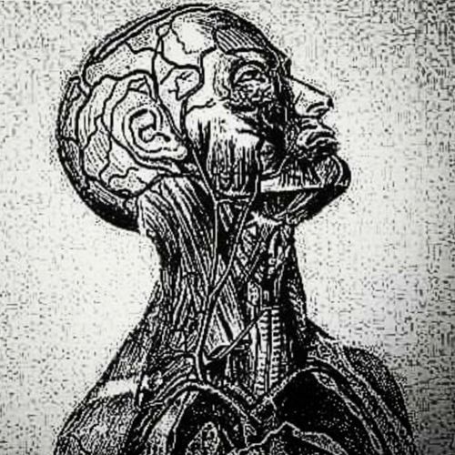 Tattoo uploaded by Andrew Hernandez • Tattoodo