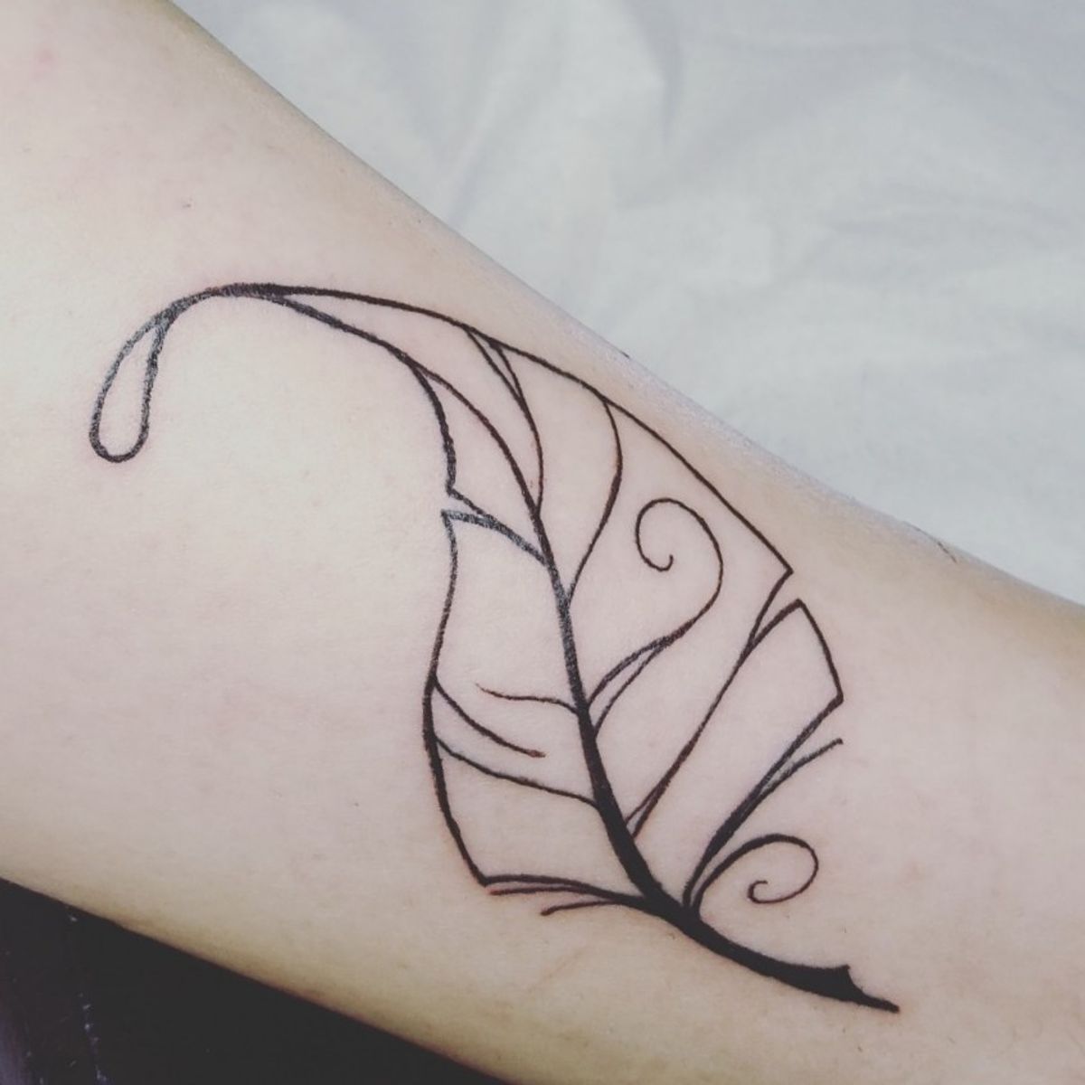 Tattoo uploaded by Michiyo • Line feather. #lineworktattoo #lines # ...