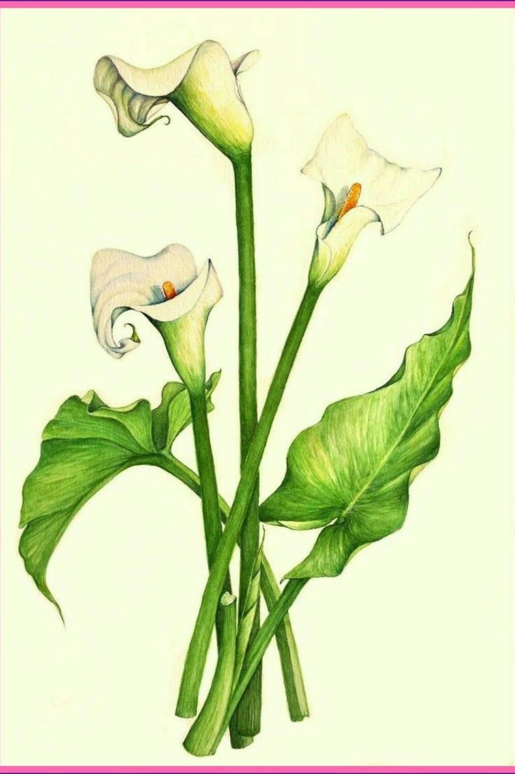 Tattoo uploaded by Stephen Dowding • Tattoodo