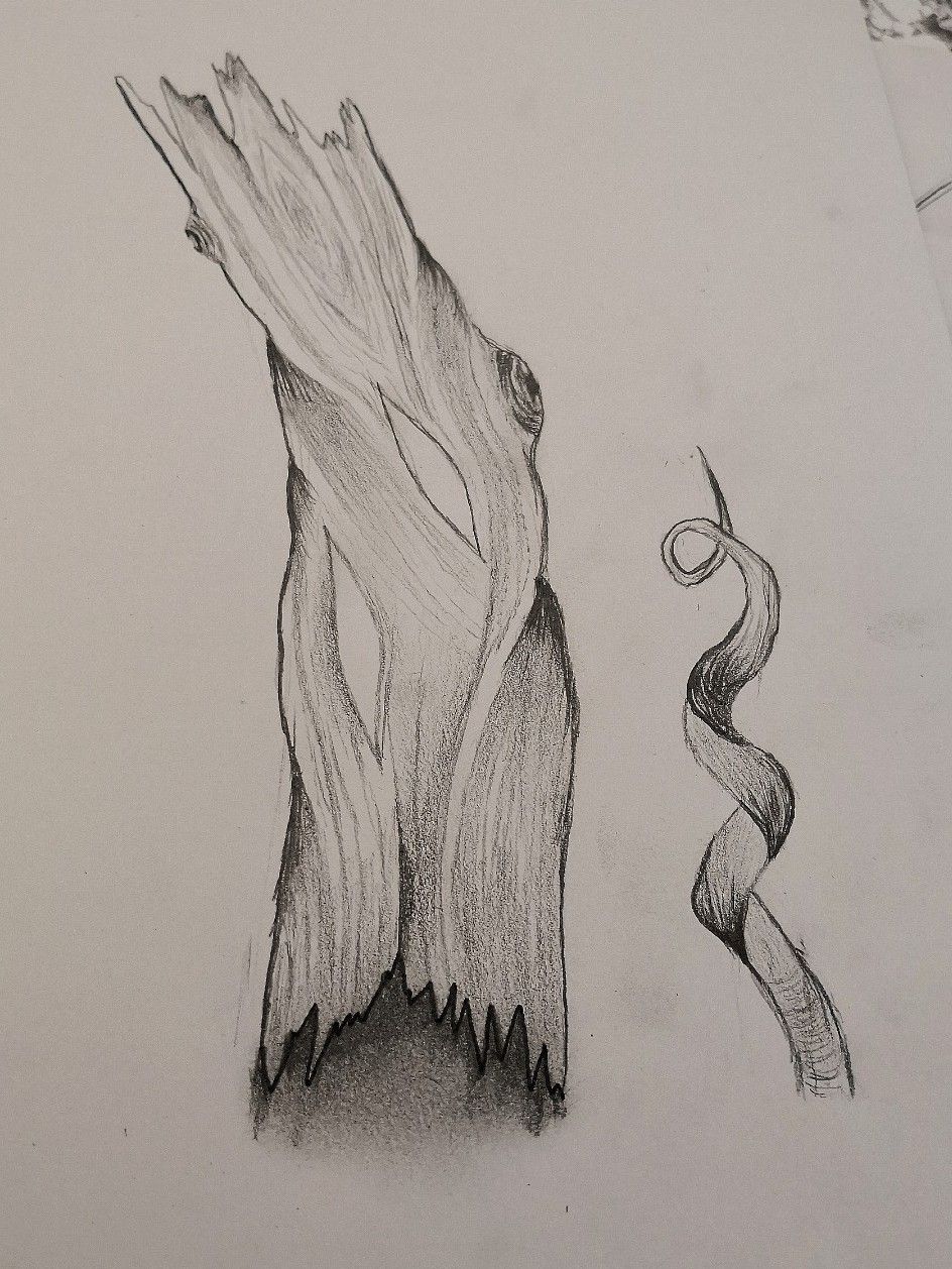 Saruman Staff Drawing