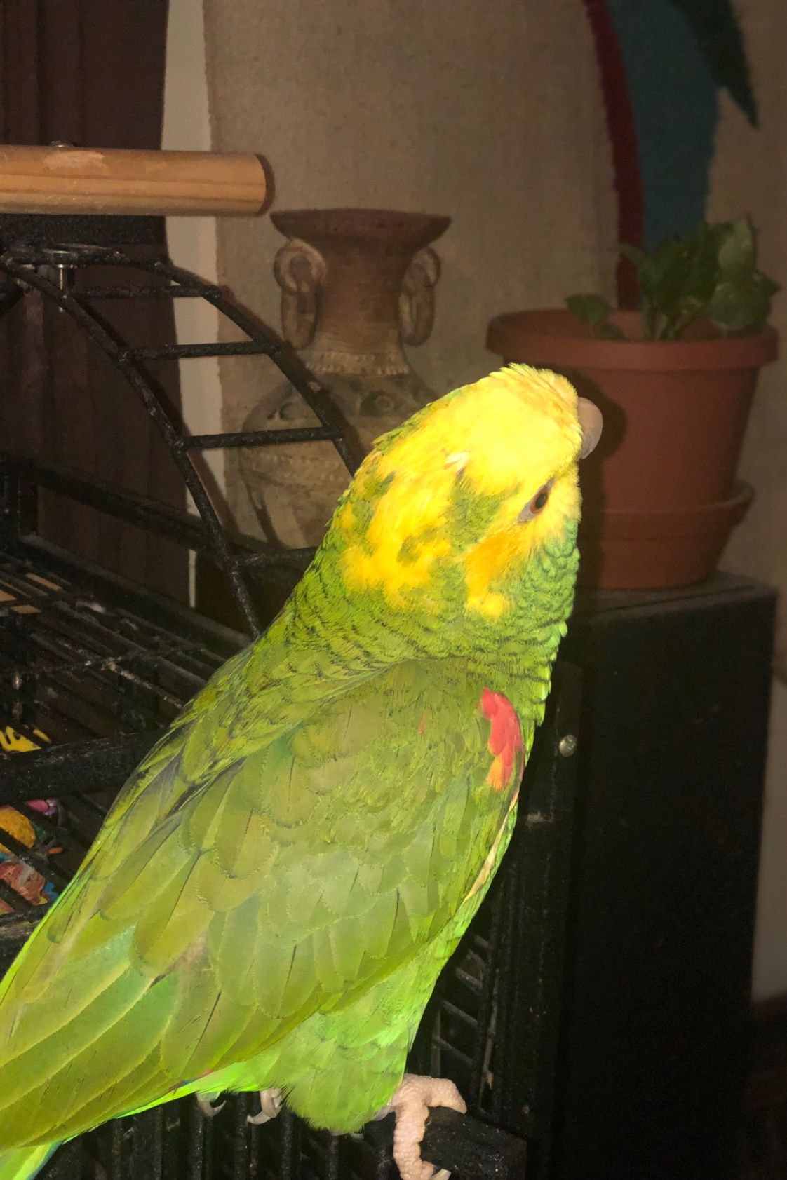 Tattoo uploaded by Braxton Fowler • Tattoodo