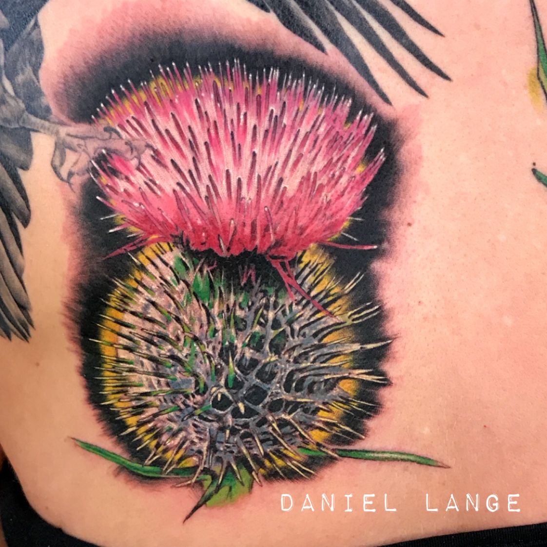 Daniel Lang Tattoos