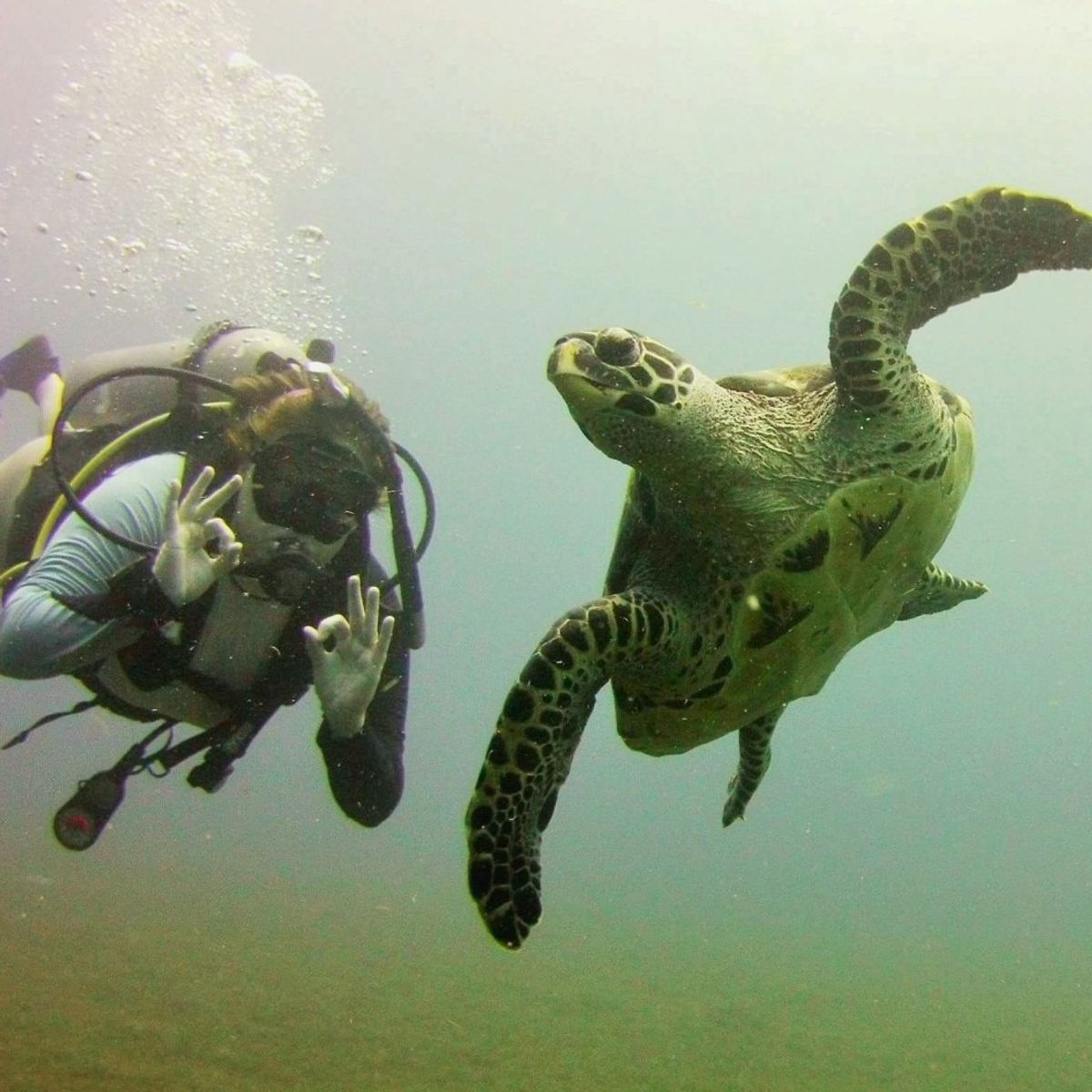 Tattoo uploaded by jennifer fitzsimons • Tattoodo