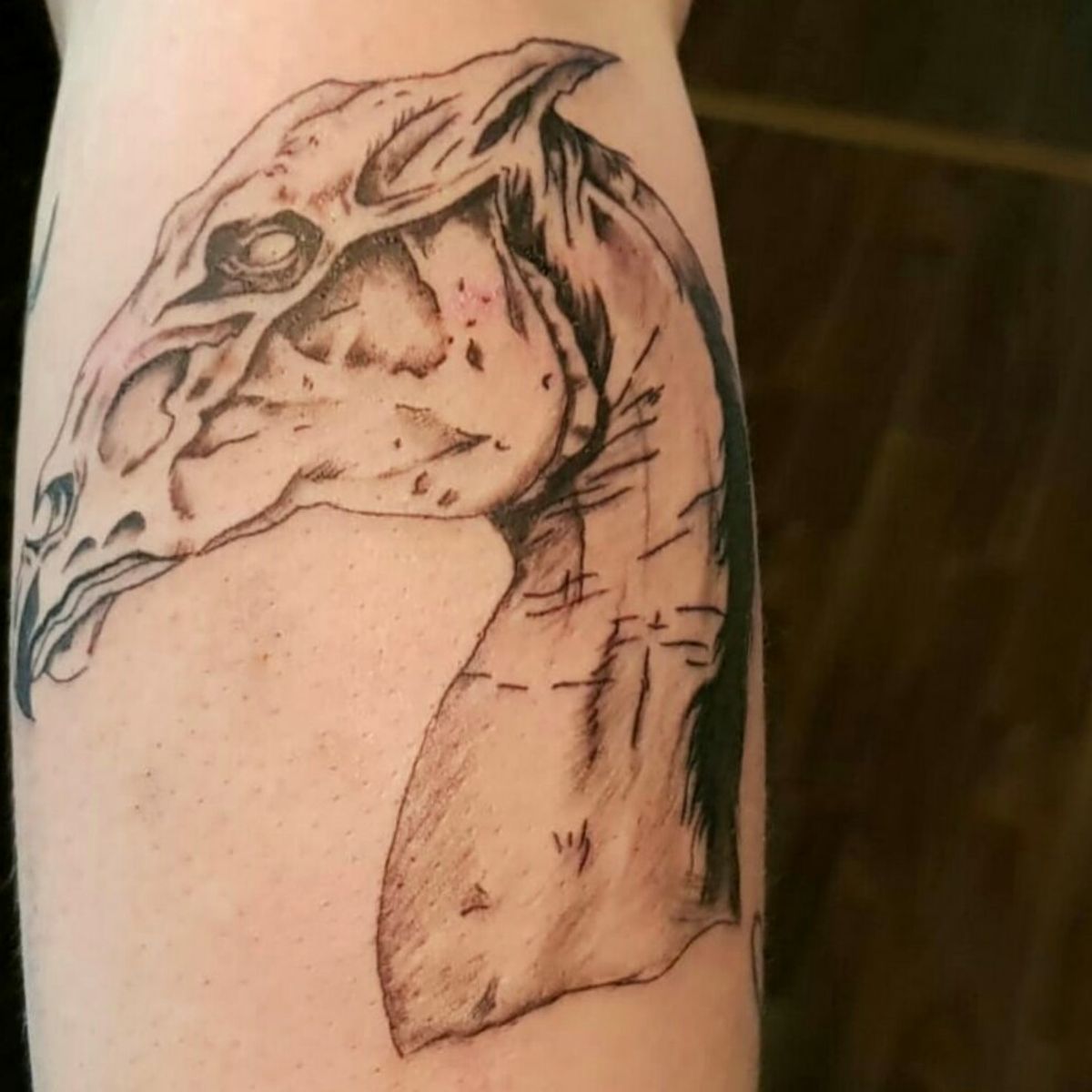 Tattoo uploaded by Laura Brockmeyer • Thestral, Harry Potter #thestral ...