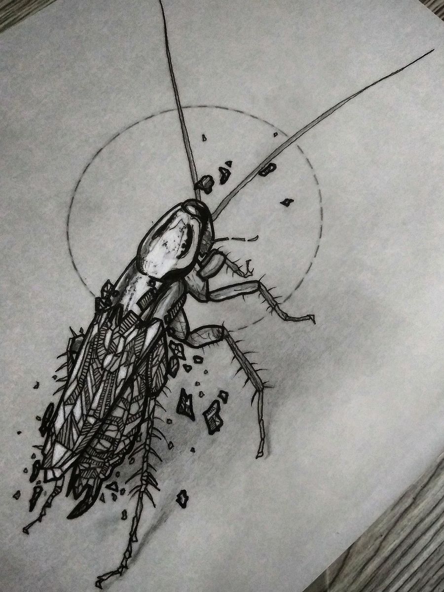 Tattoo uploaded by Leandro Parera • #cockroach • Tattoodo