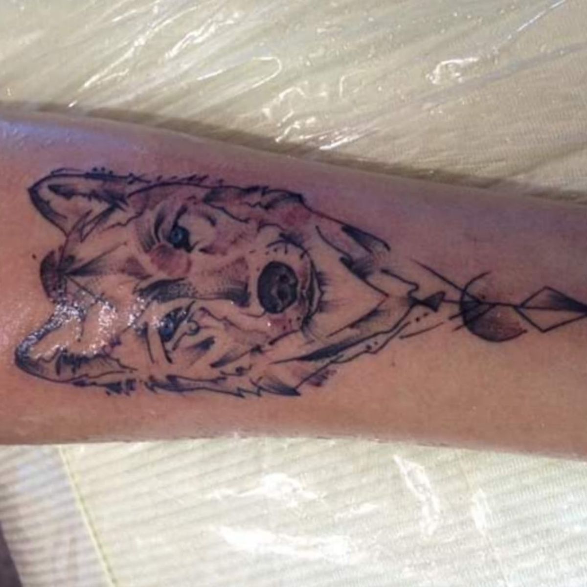 Tattoo uploaded by Sens tweed tattoo • Lobo geométrico • Tattoodo