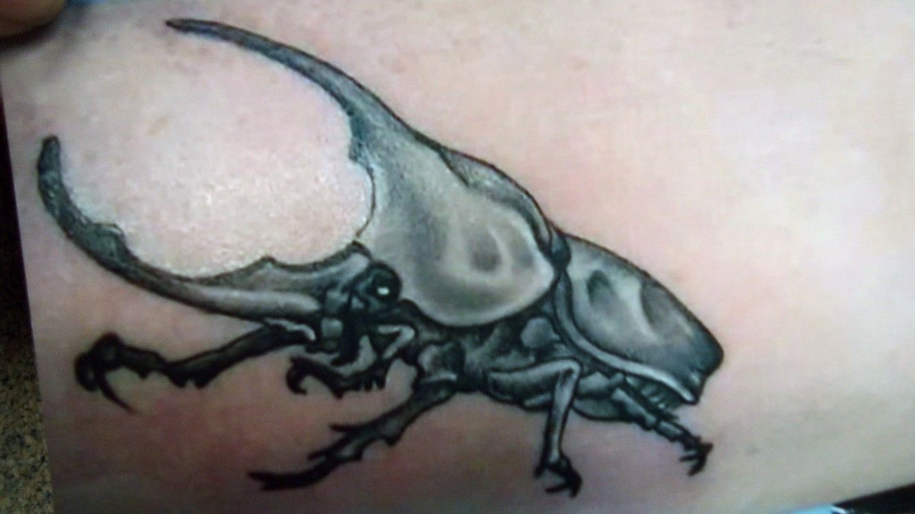Tattoo uploaded by Raven Tattooist • Tattoodo