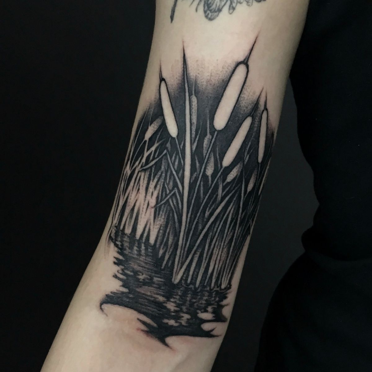 Tattoo uploaded by Paix Le Tattooer • 1st work in Toronto, Cattails in ...
