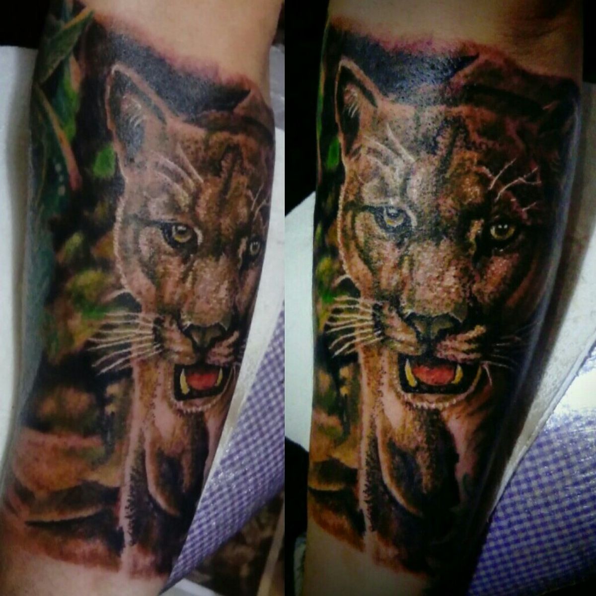 Tattoo uploaded by Dudu Tattoo ,Instinto D Arte • Puma realismo • Tattoodo