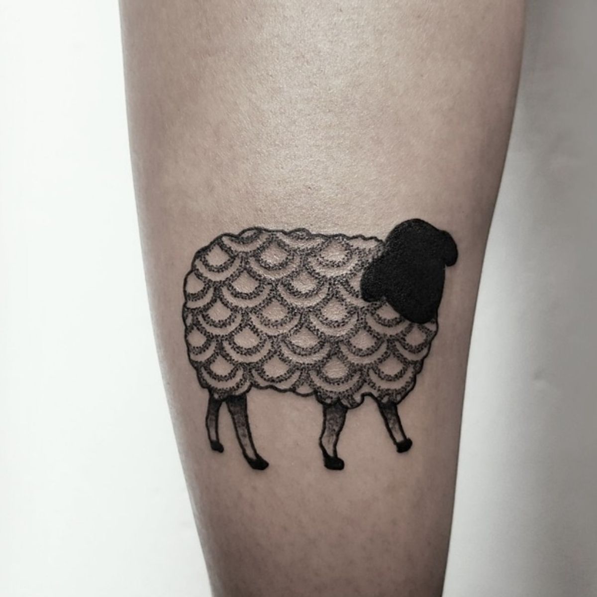 Tattoo uploaded by Lital Din Tattoo • #sheep #blacksheep #animaltattoo ...