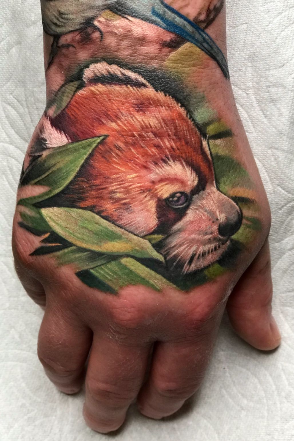Tattoo uploaded by Chase Tafoya • Tattoodo