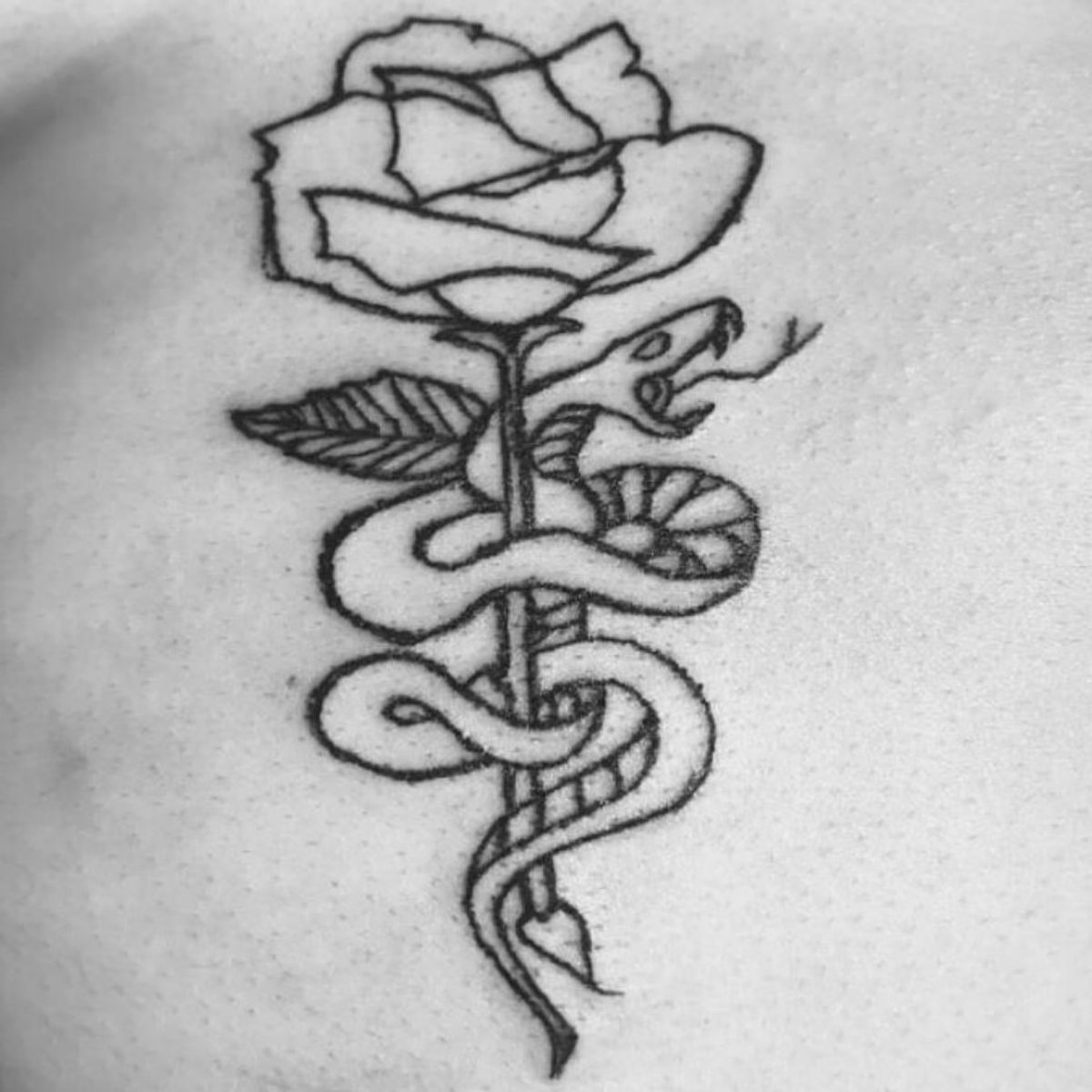 Tattoo uploaded by Layan Naouri • Rose with snake • Tattoodo