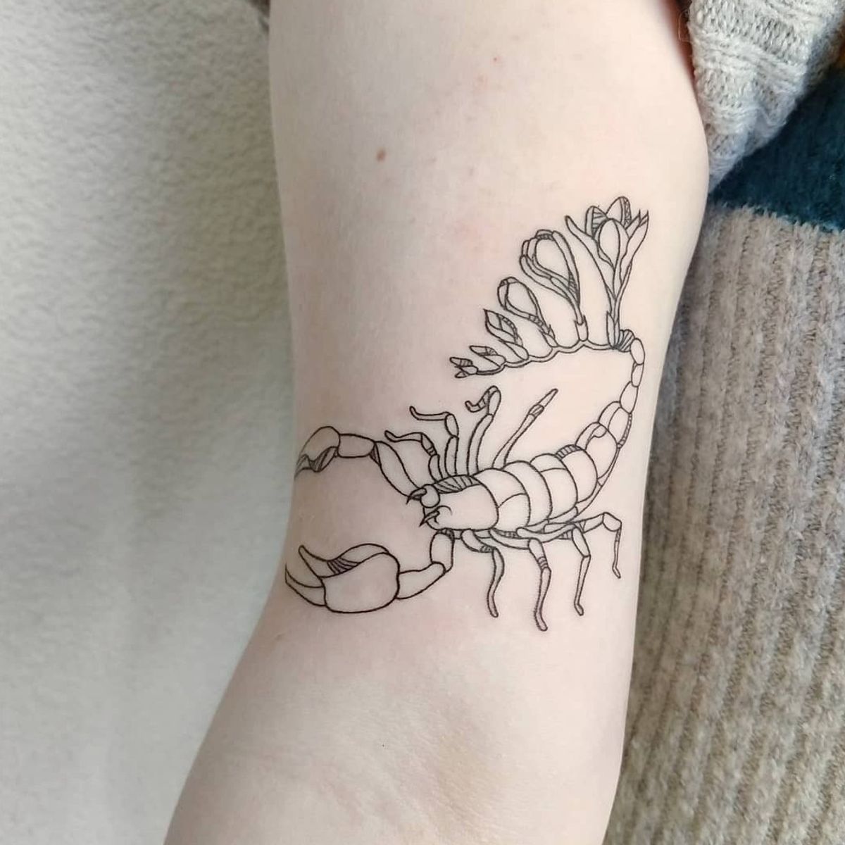 Tattoo uploaded by Sara MacGregor • Fine Line Scorpion with the rail ...