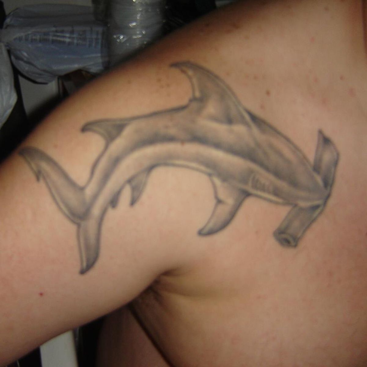 Tattoo uploaded by Marcos David Muhlpointner • tubarão-martelo • Tattoodo