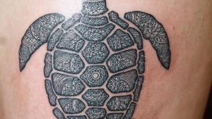 Tattoo uploaded by Rich Ainsworth • fine line, turtle, sea life, marine ...