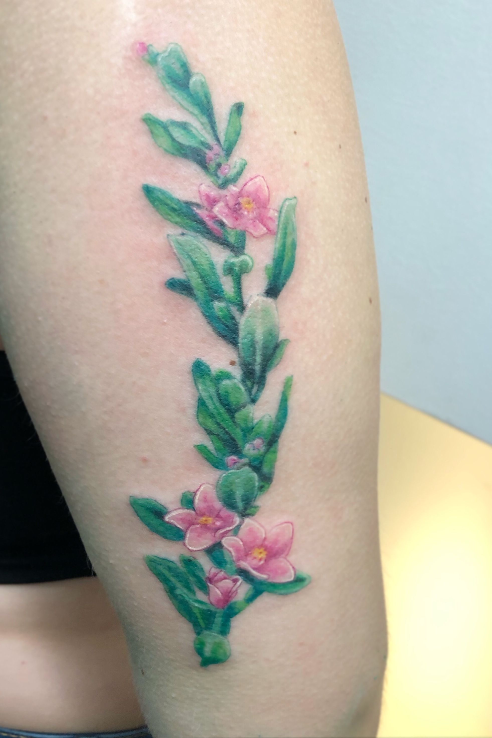 Tattoo uploaded by Janet Thatcher • Tattoodo