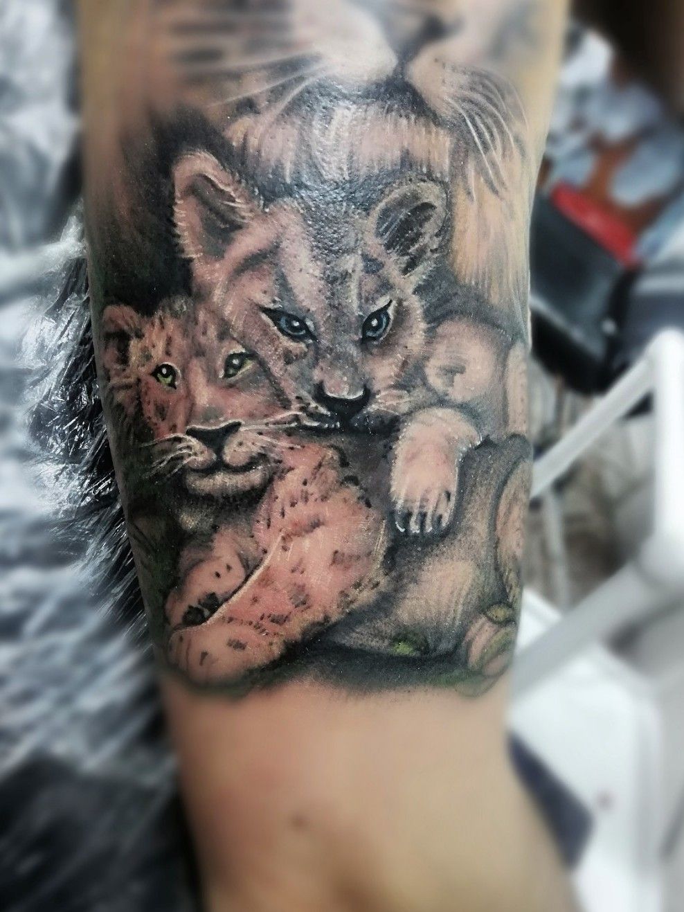 Tattoo uploaded by New Tattoo Studio • Tattoodo