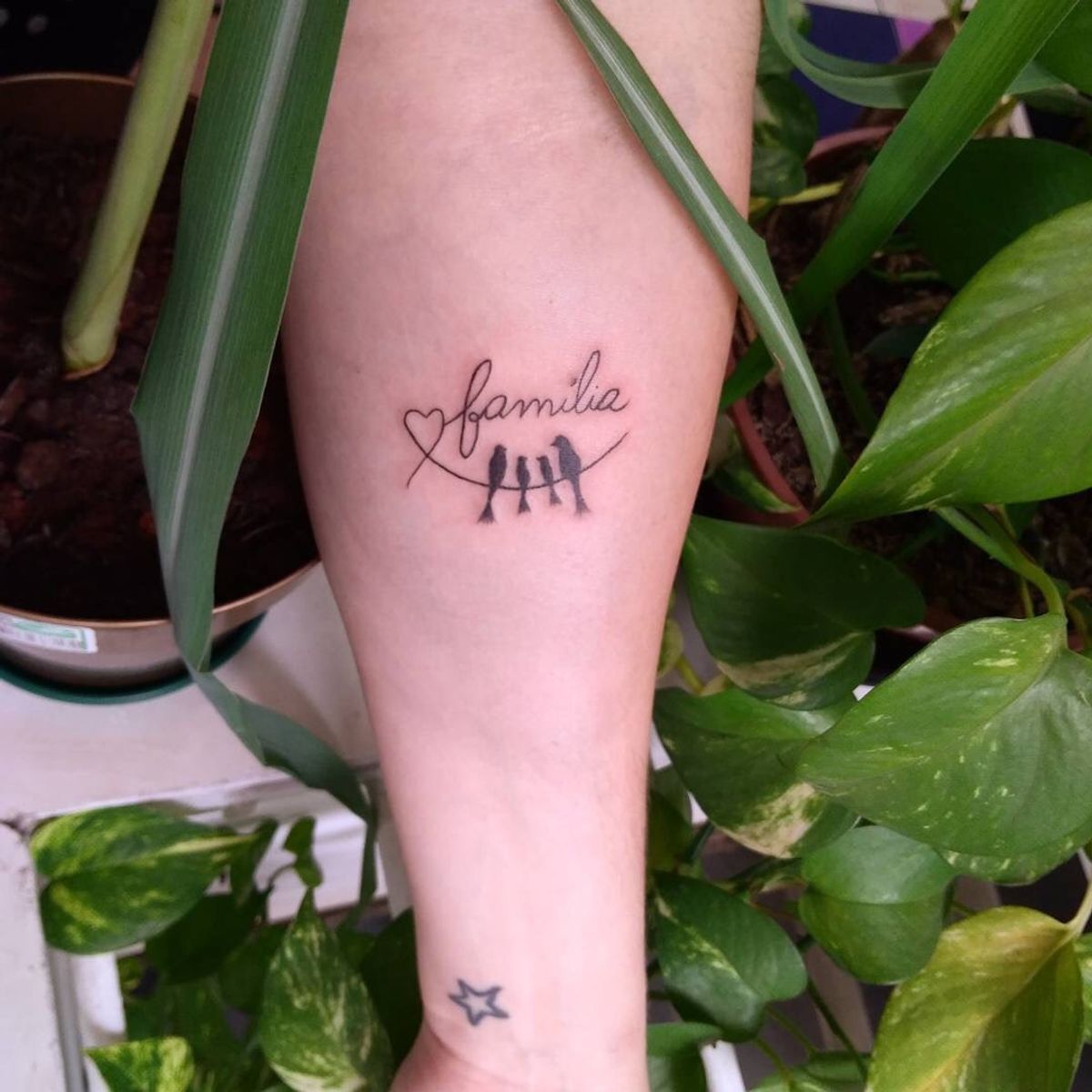 Tattoo uploaded by Clarissa Silva • Tattoodo