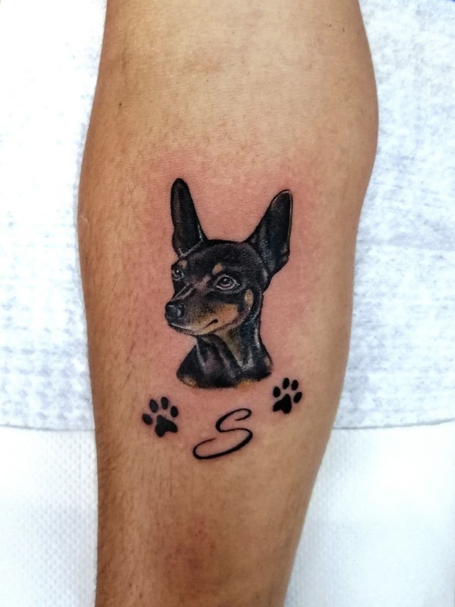 Tattoo uploaded by Jesús Galazzo • Pequeño Pinscher • Tattoodo