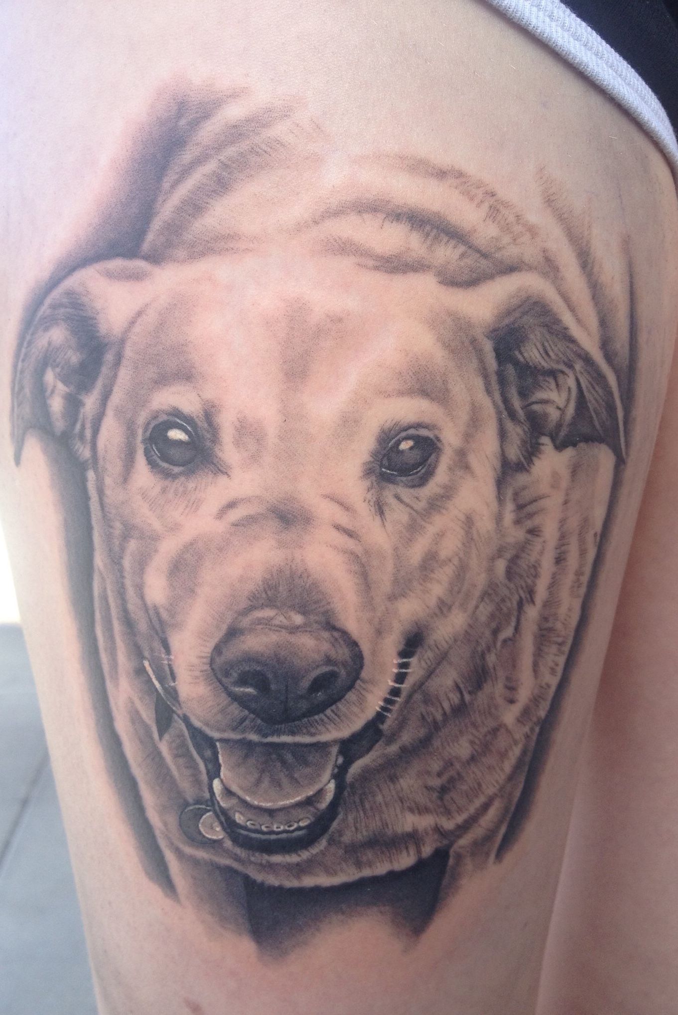 Tattoo uploaded by Sam IAm Dunn • Tattoodo