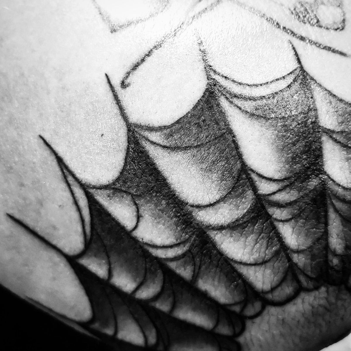 Tattoo uploaded by Devan Mills • Another shot of the Elbow Spider Web ...