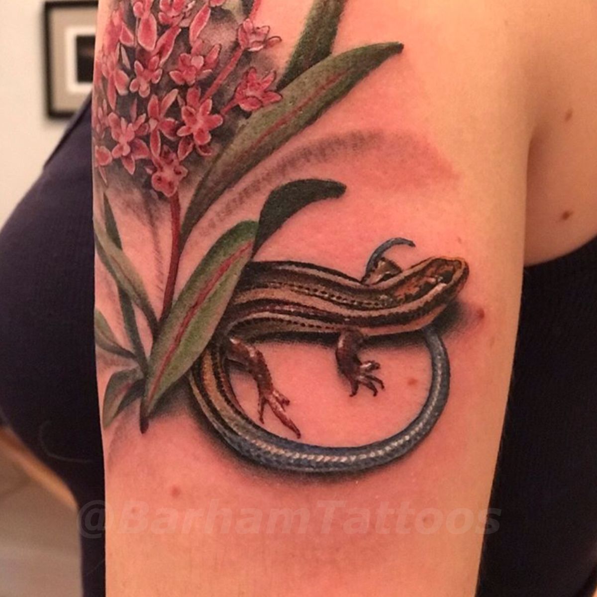 Tattoo uploaded by Fable Tattoo Gallery • Skink tattoo by Barham ...
