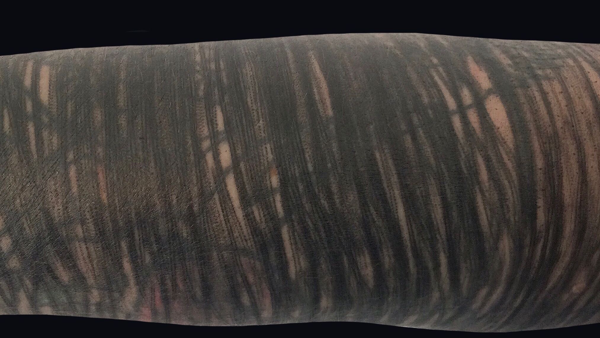 Tattoo uploaded by Eli • Tattoodo