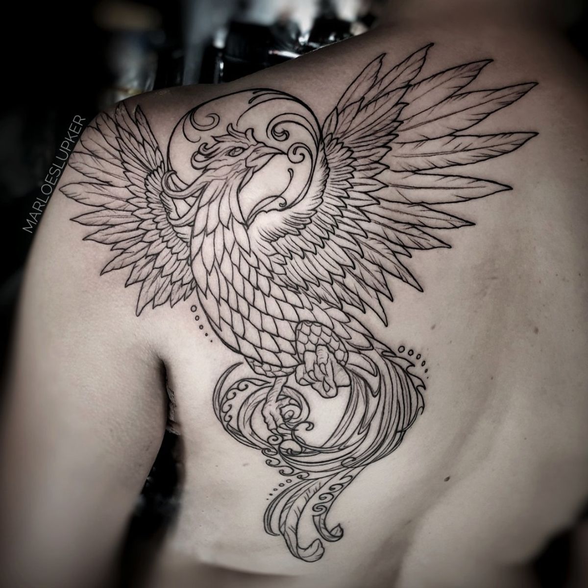 Tattoo uploaded by Marloes Lupker • New project - Phoenix Linework # ...
