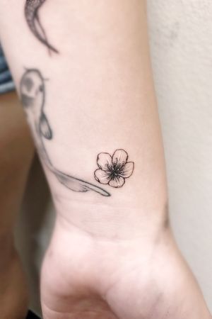 Hana • Tattoo Artist • Tattoodo