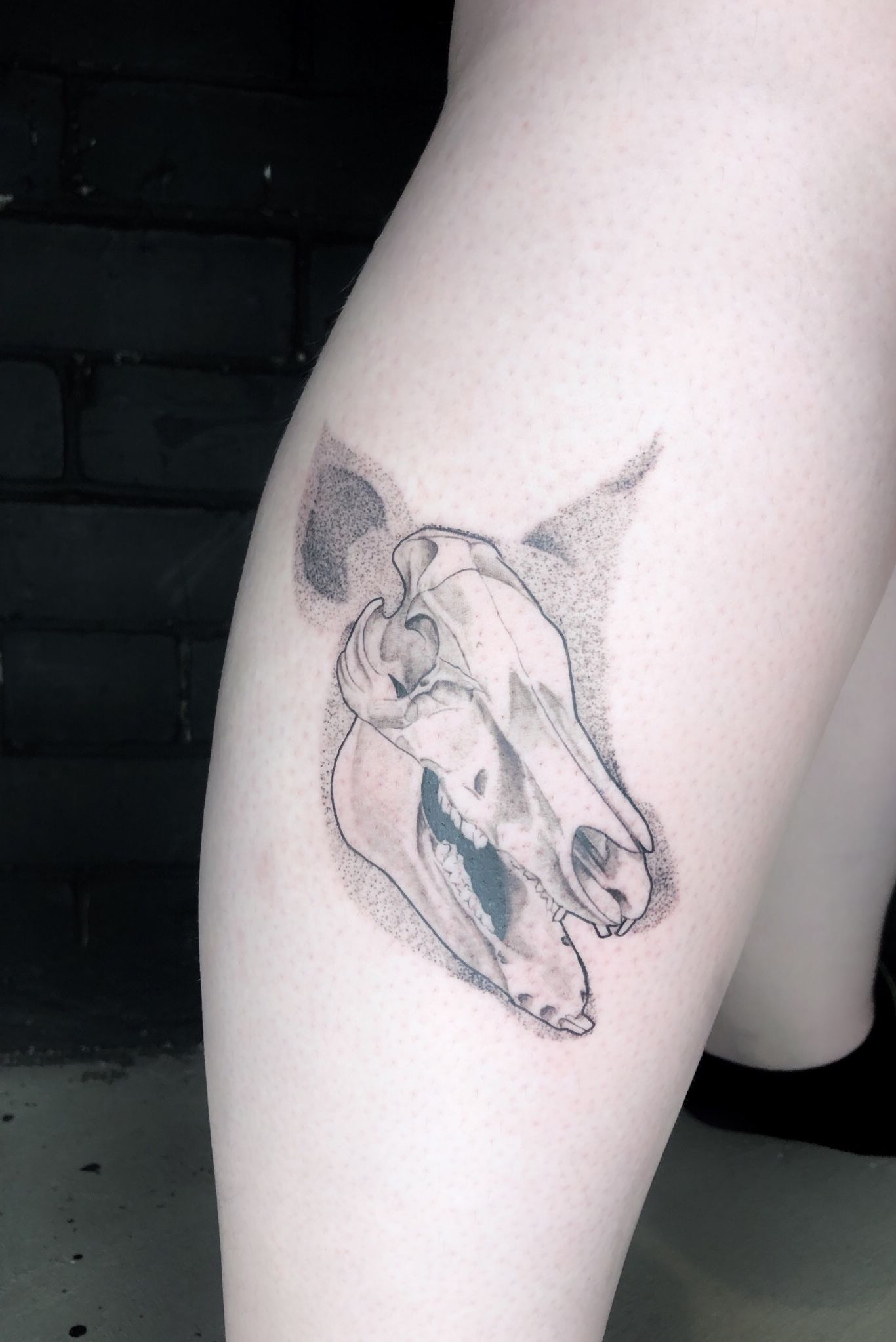 Boar Skull Tattoo