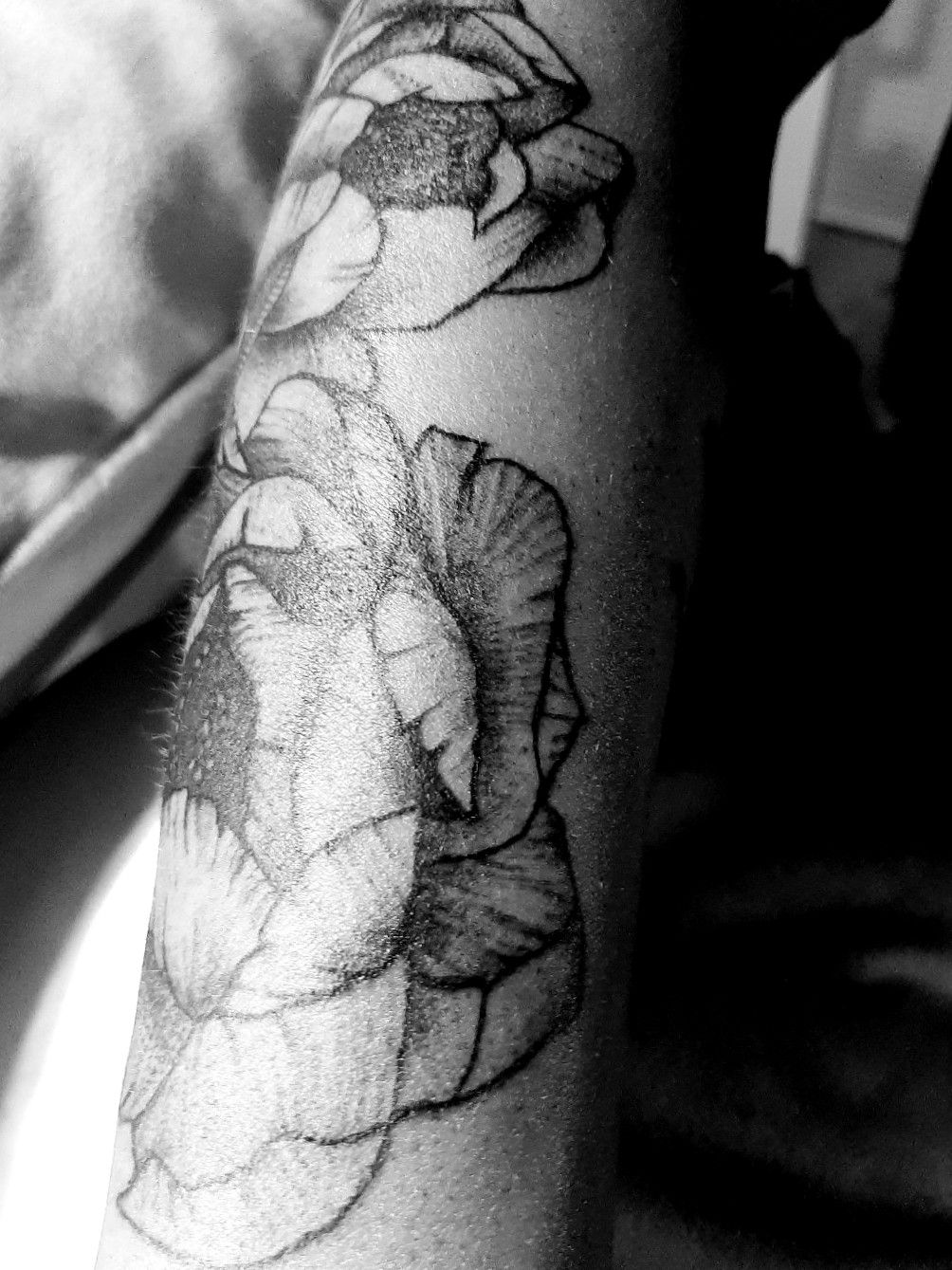 Tattoo uploaded by JIWA ALÁMI • Tattoodo