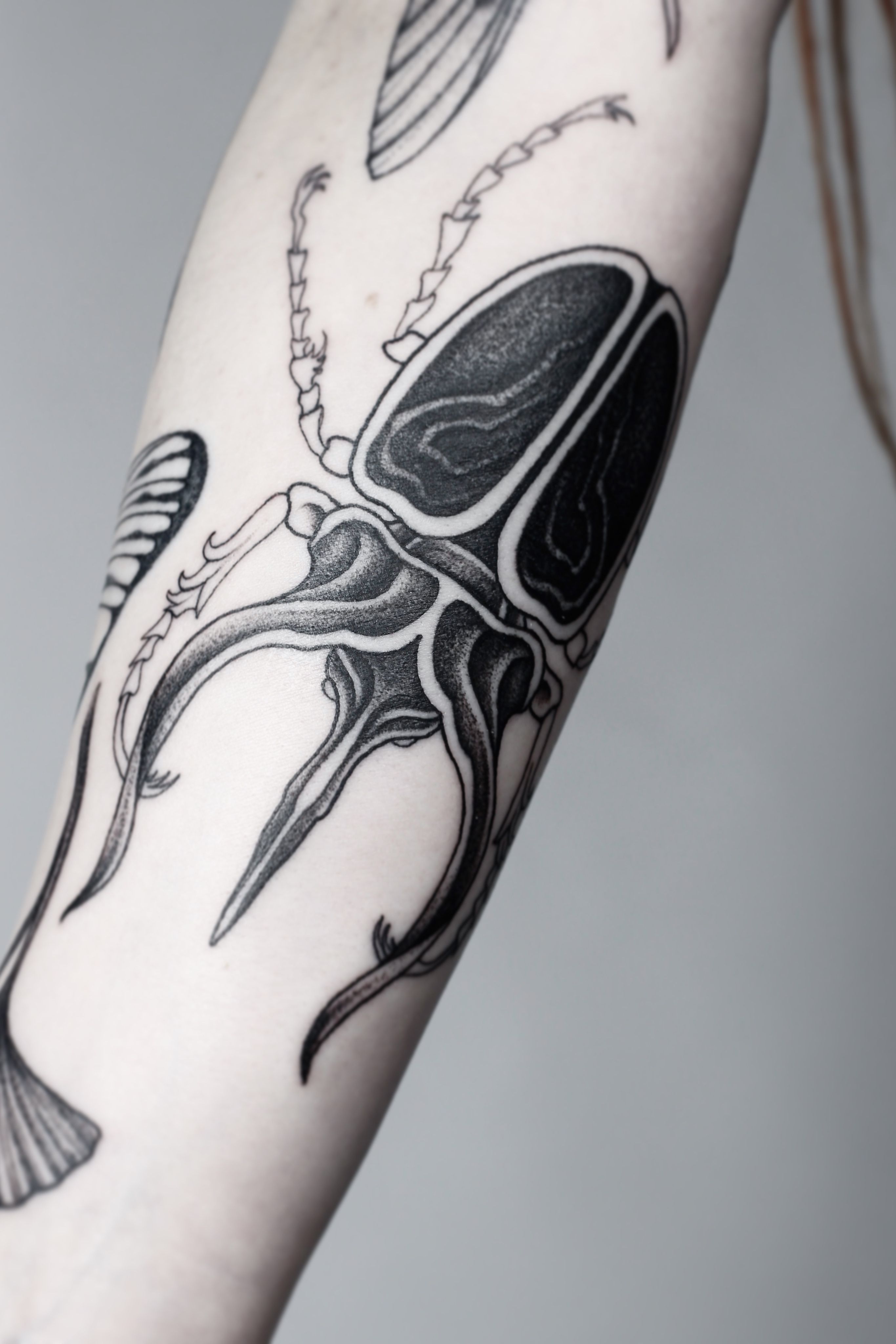 Tattoo uploaded by Y.Miroo • Tattoodo