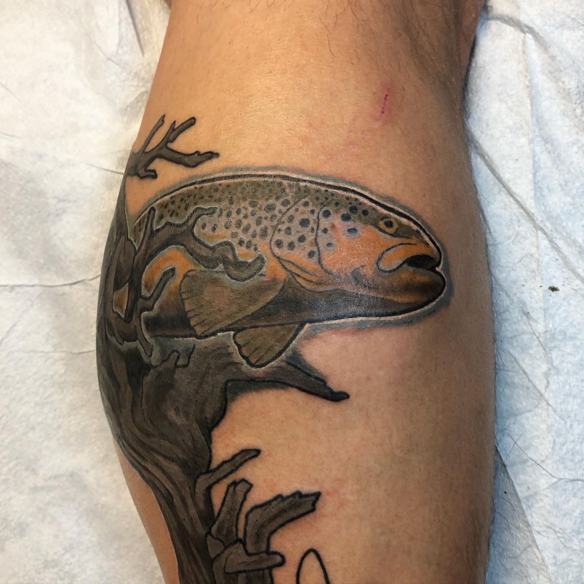 Tattoo uploaded by Clint McInnes • Tattoodo