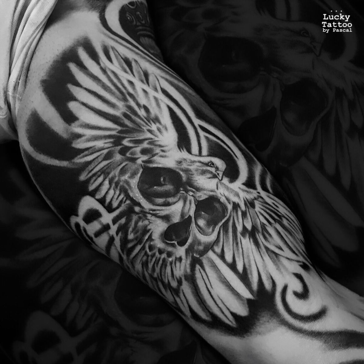 Tattoo uploaded by Moses Mendelssohn • ~Idea:Dove and skull. ~Studio:Lucky Tattoo by Pascal ...
