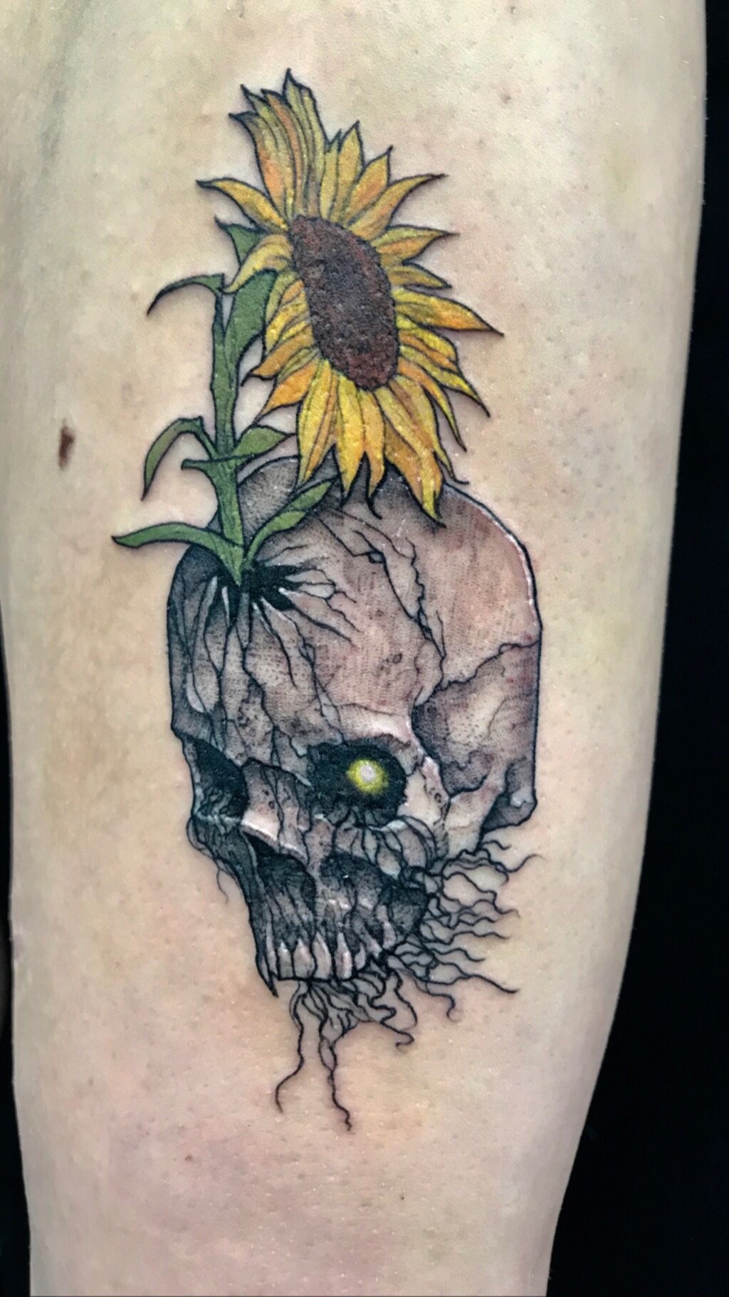 Tattoo uploaded by Erik Virgil Van Dyk • Tattoodo