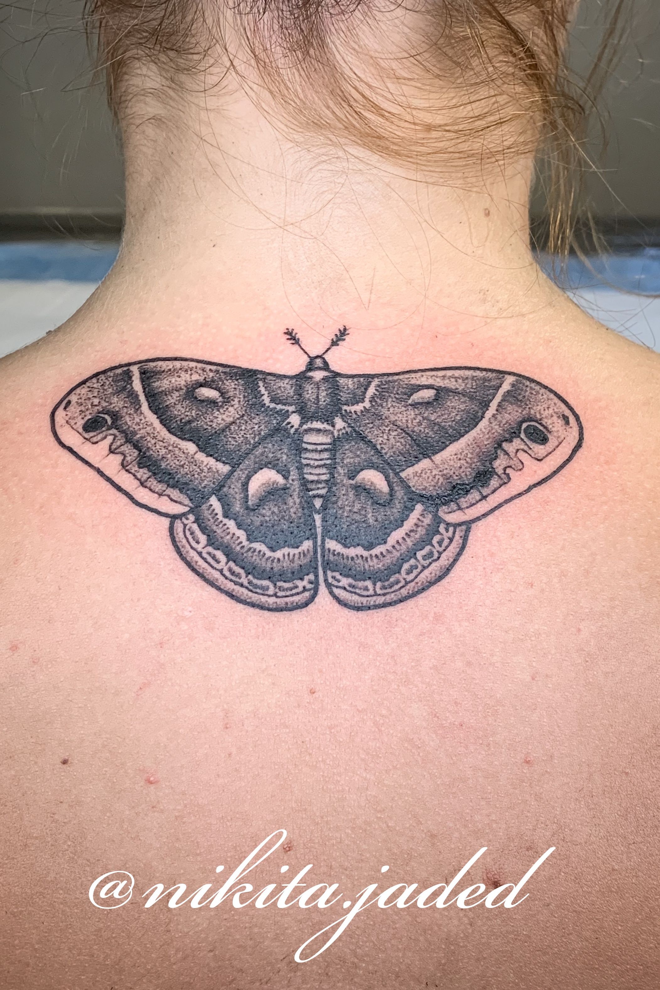 Cecropia Moth Tattoo