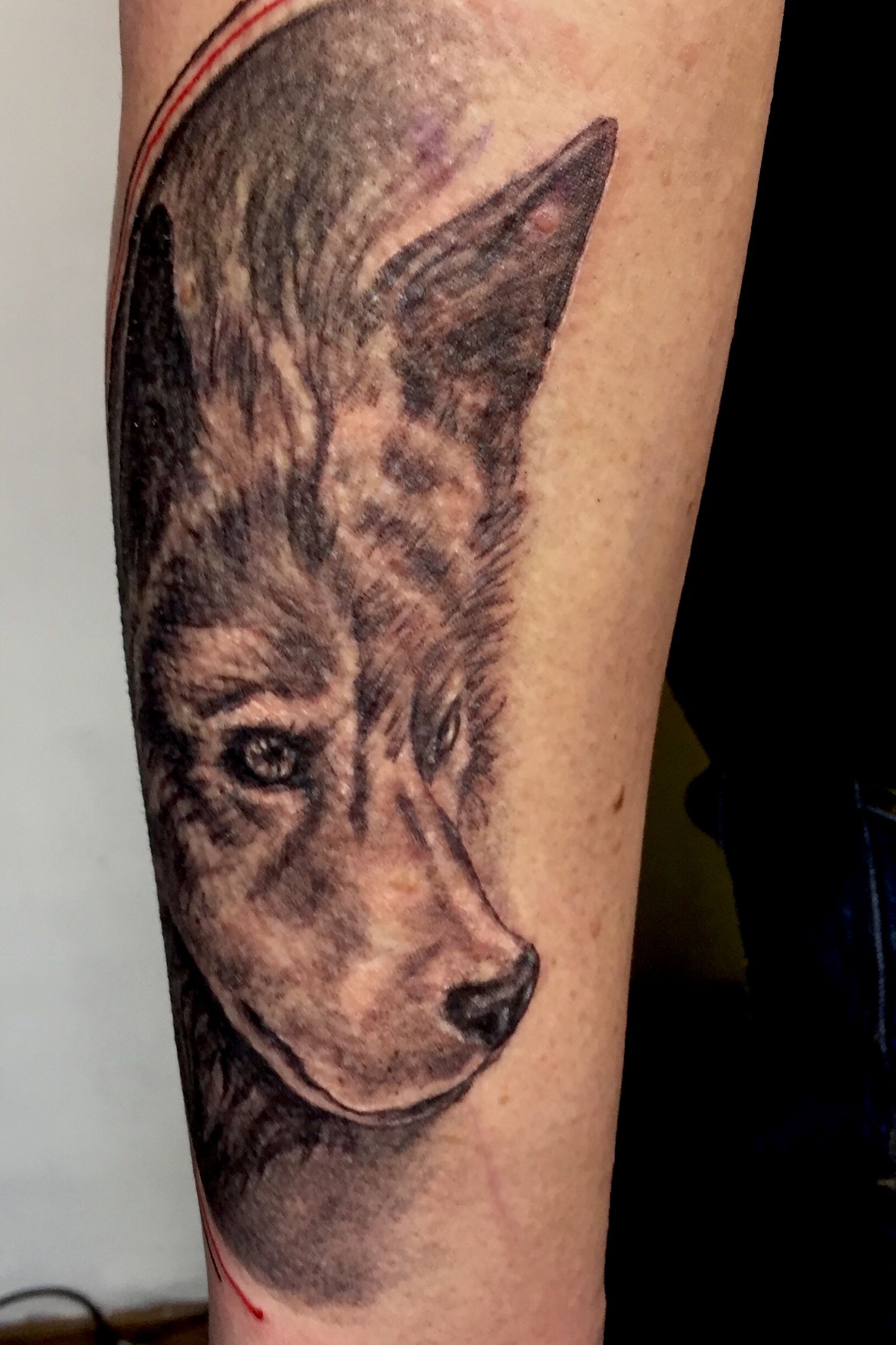 Tattoo uploaded by Тату студио Барс/Tattoo studio Bars • Tattoodo