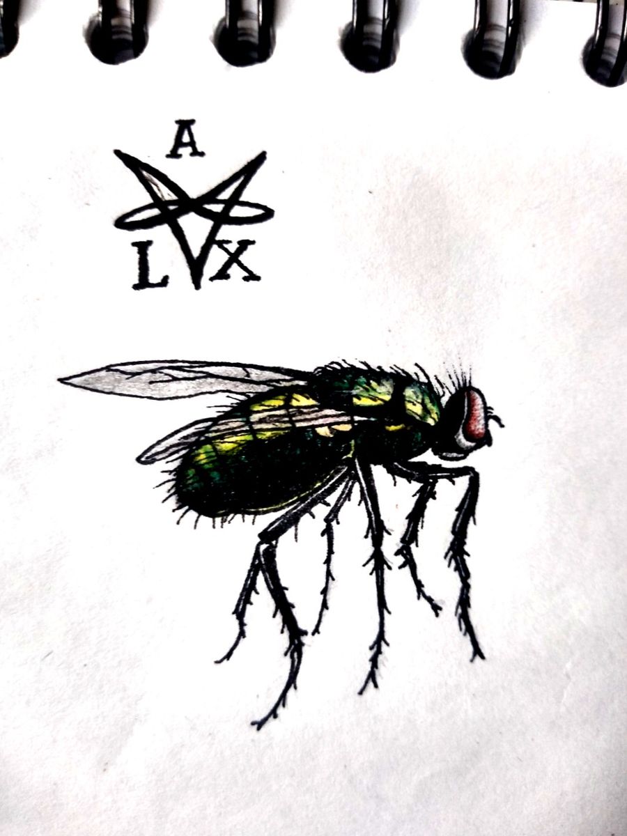 Tattoo uploaded by Axell Chavez Zertuche • "Fly" #flytattoo #owndesign ...