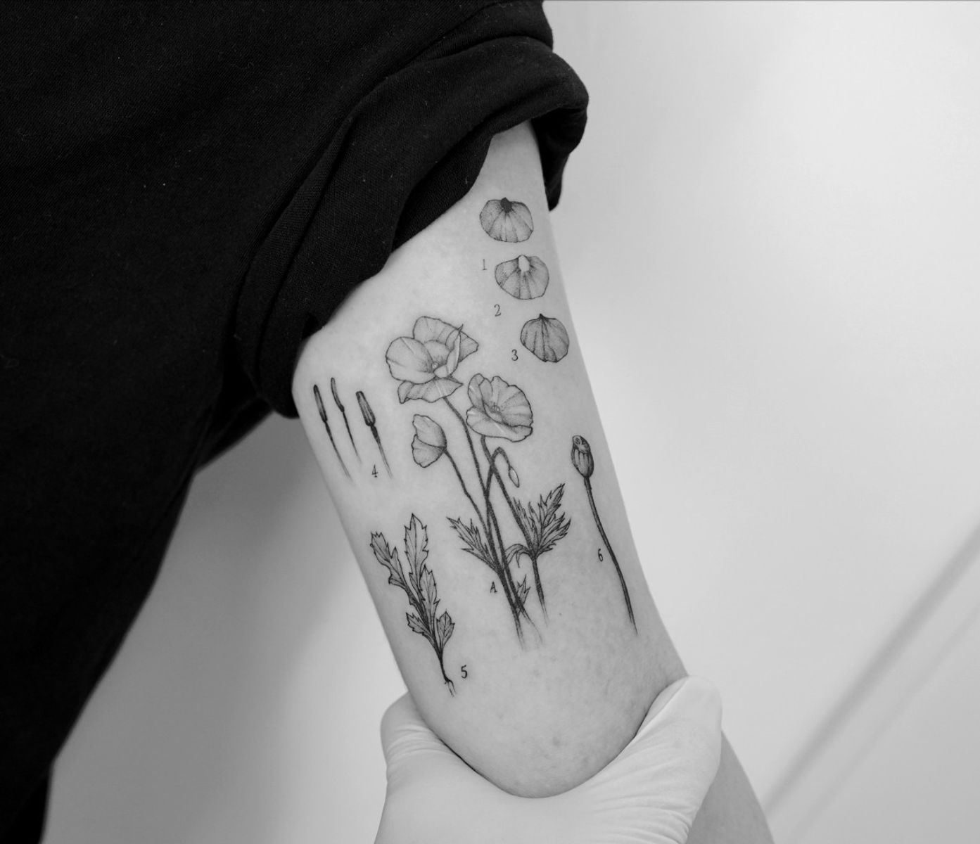 Tattoo uploaded by Ian Tattoos • Tattoodo