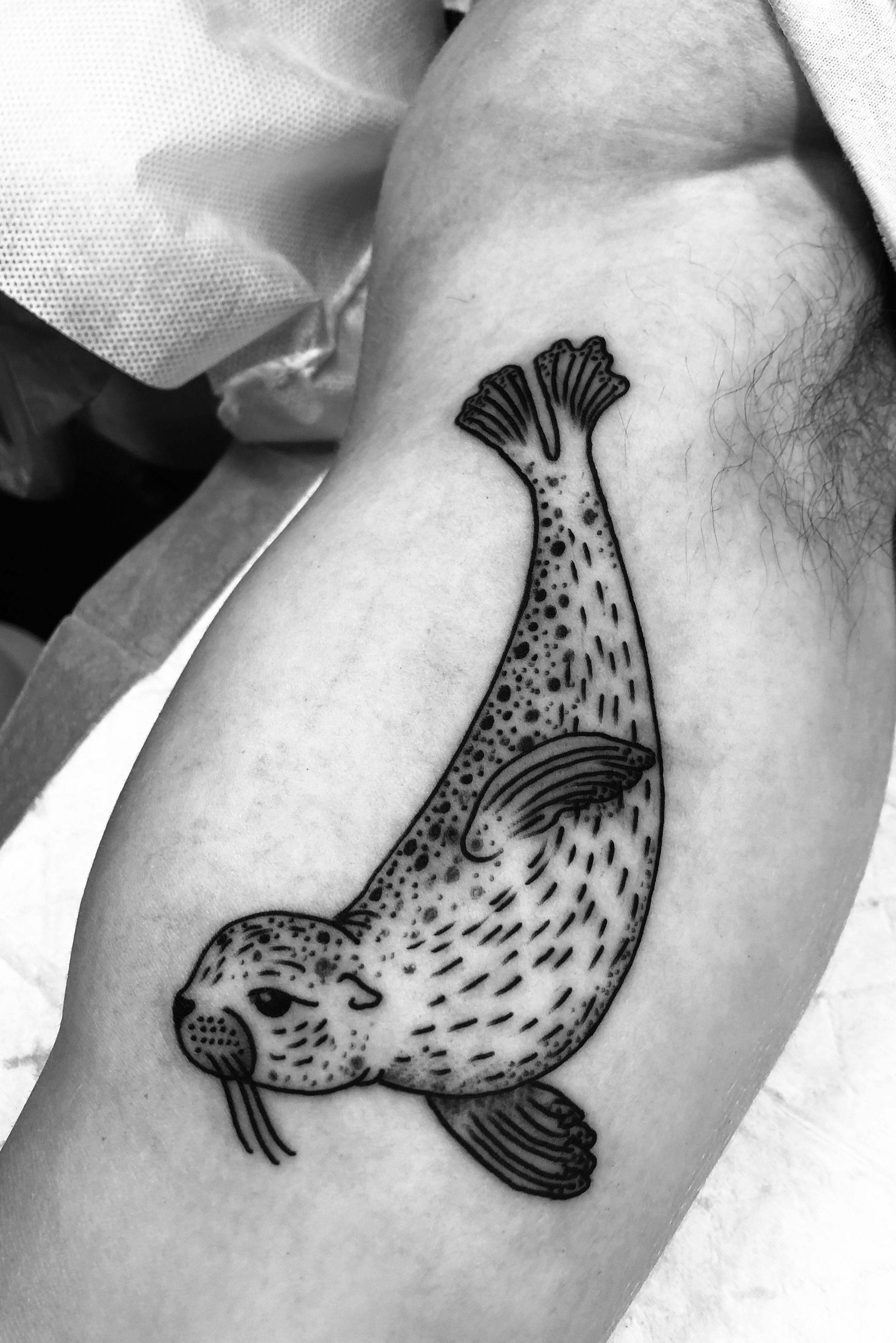 American Seal Tattoo