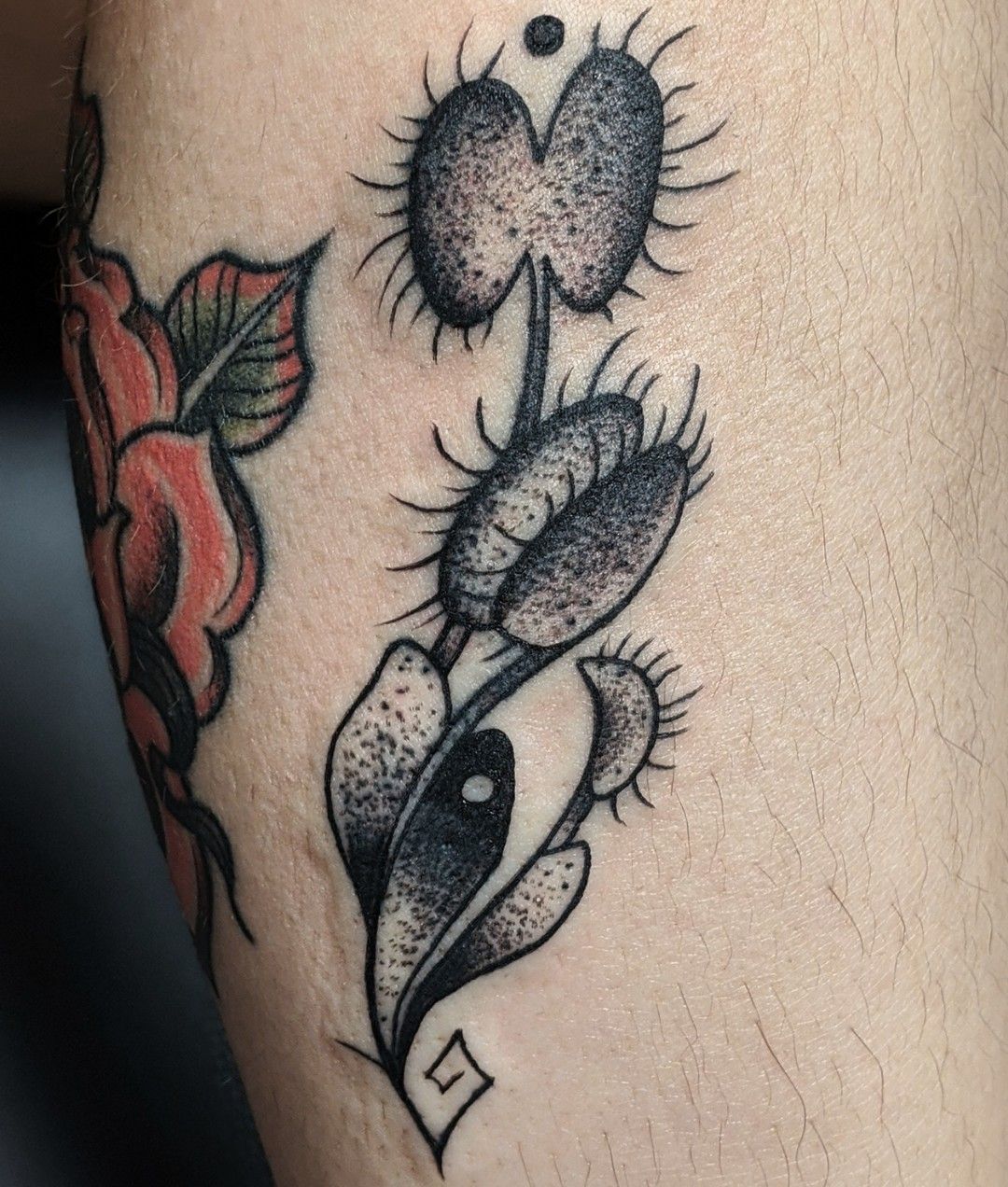 Tattoo uploaded by Kameron VVitch • Tattoodo