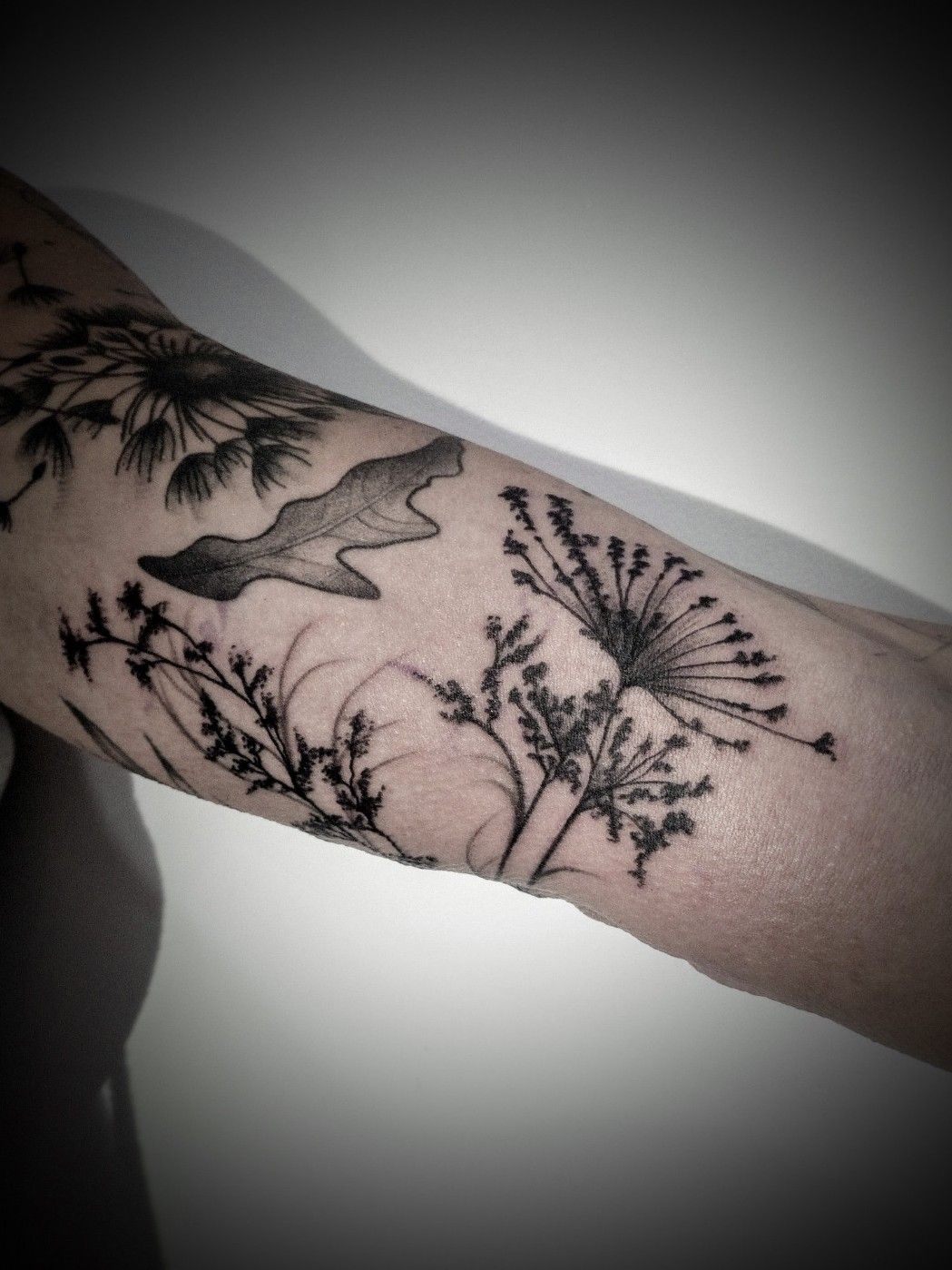Tattoo uploaded by Ana Mijovic • Tattoodo