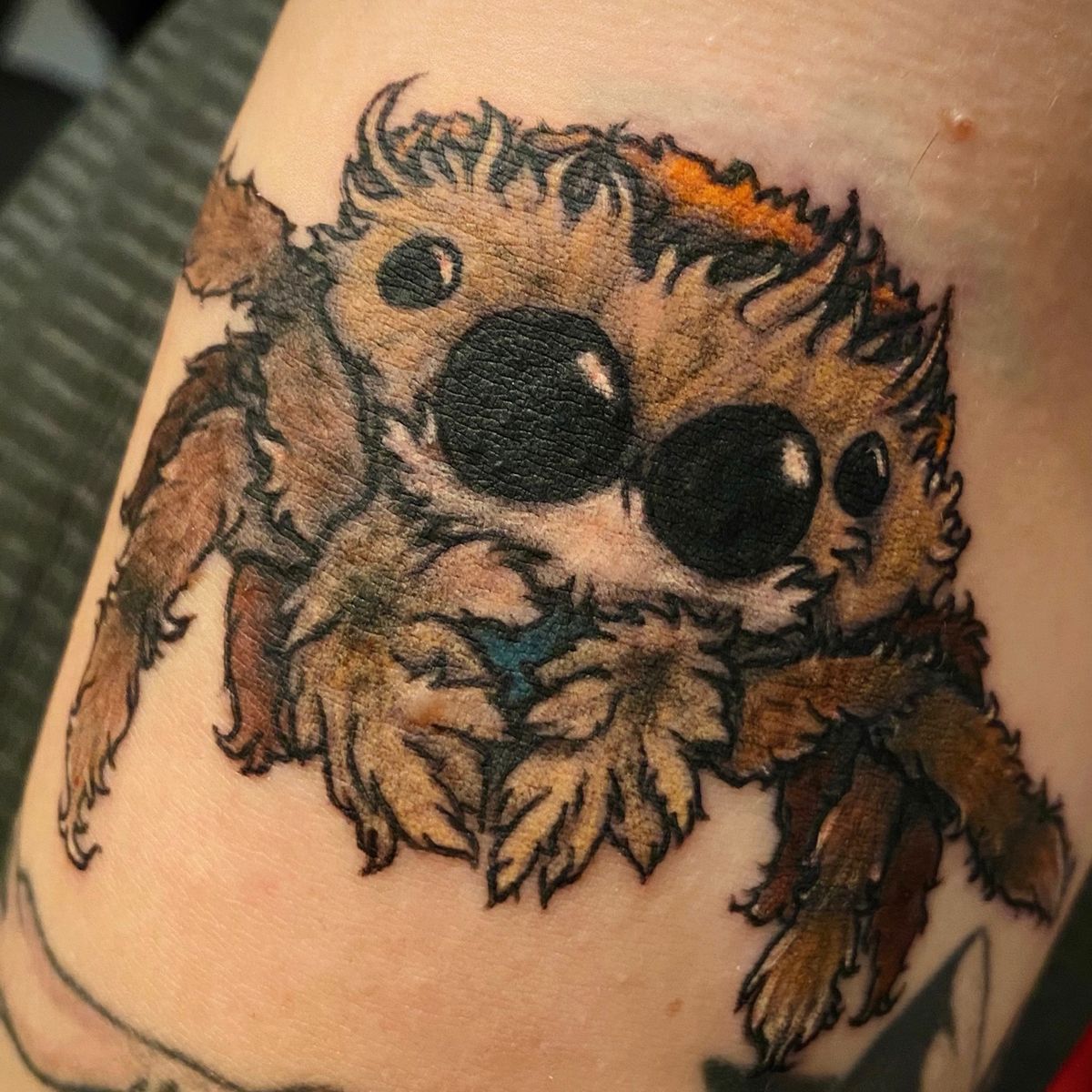 Tattoo uploaded by Roxanne Crisp • Jumping spider Henry • Tattoodo