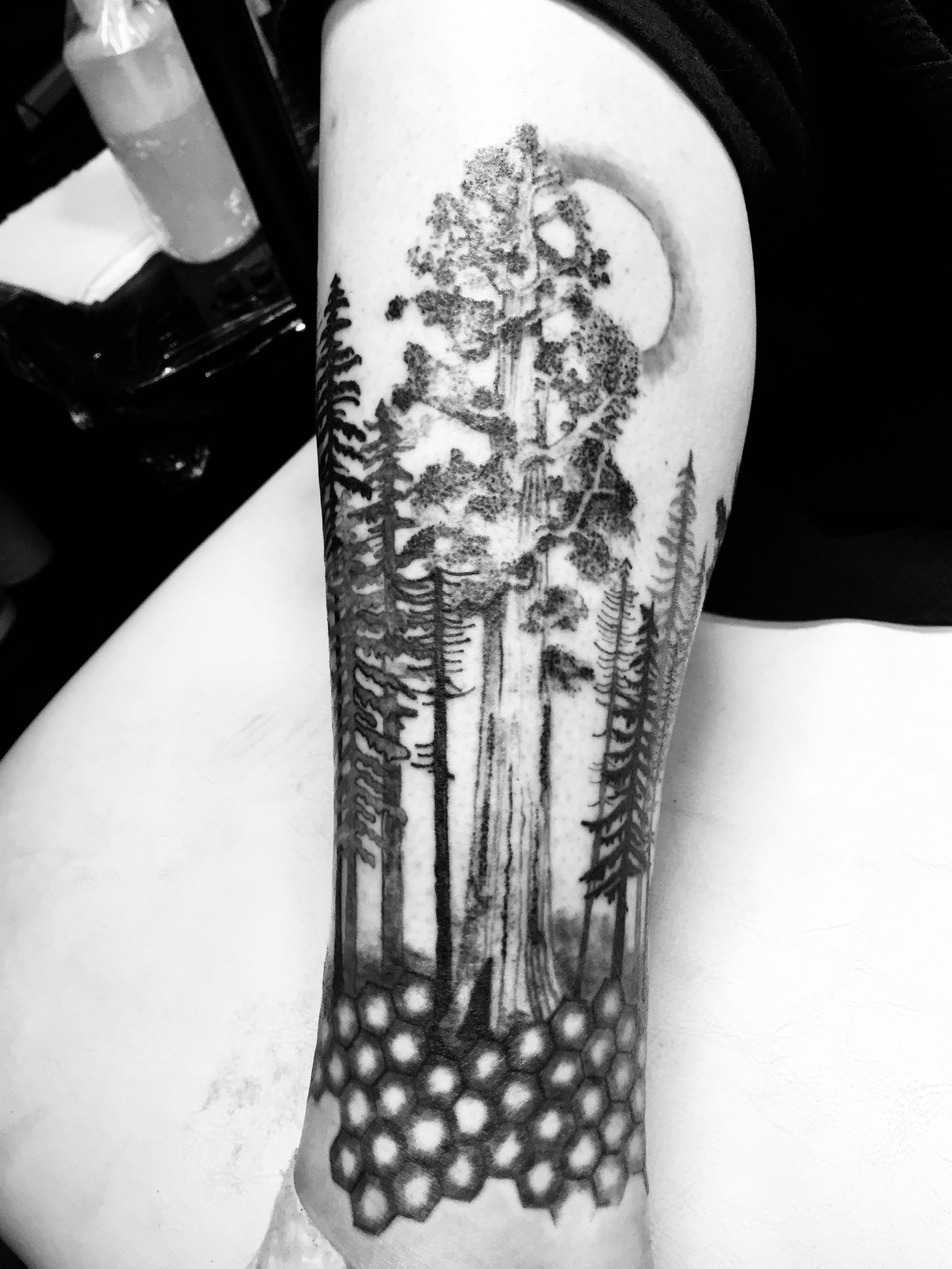 Tattoo uploaded by Shawna • Tattoodo