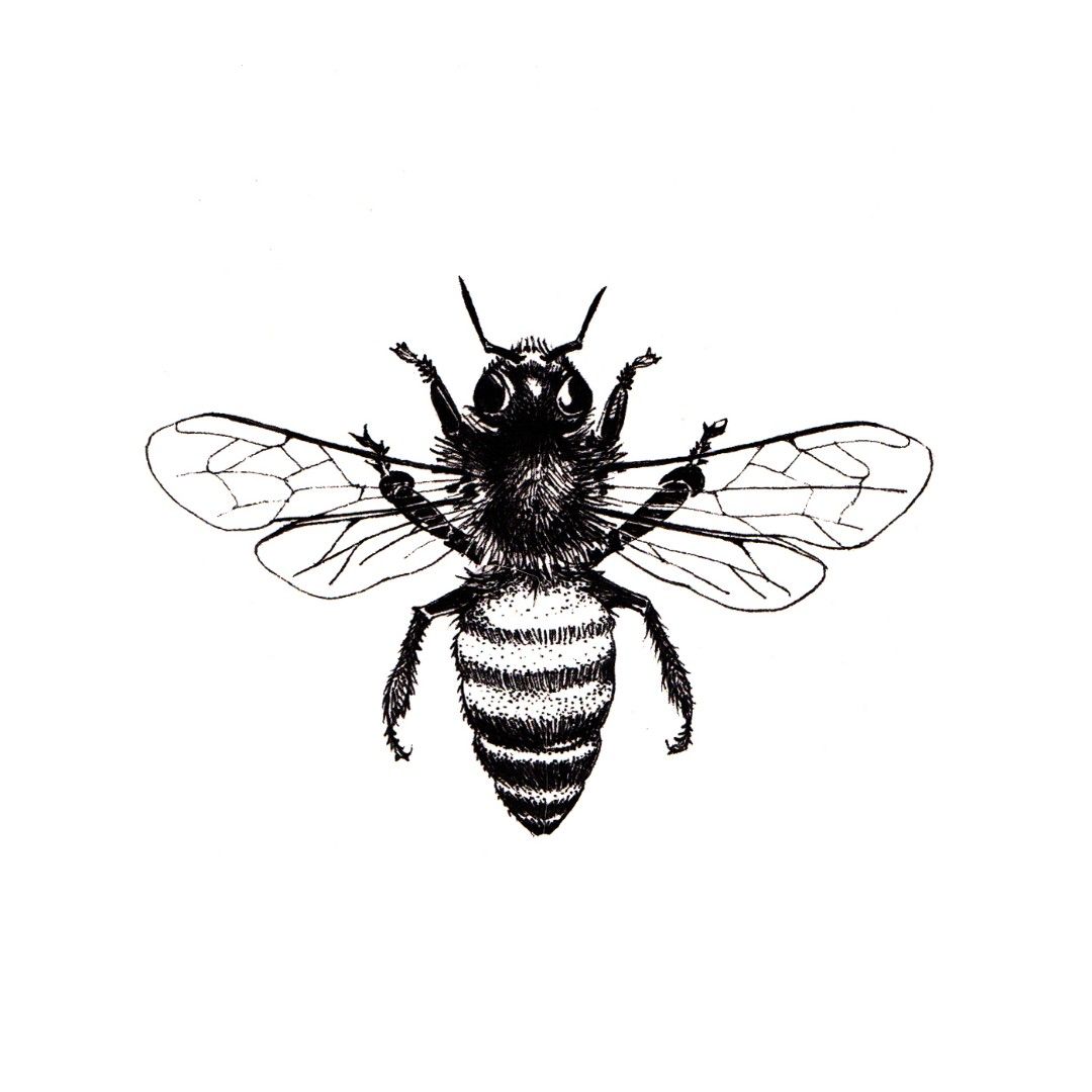 Tattoo uploaded by Jeesoo Kim • Tattoodo